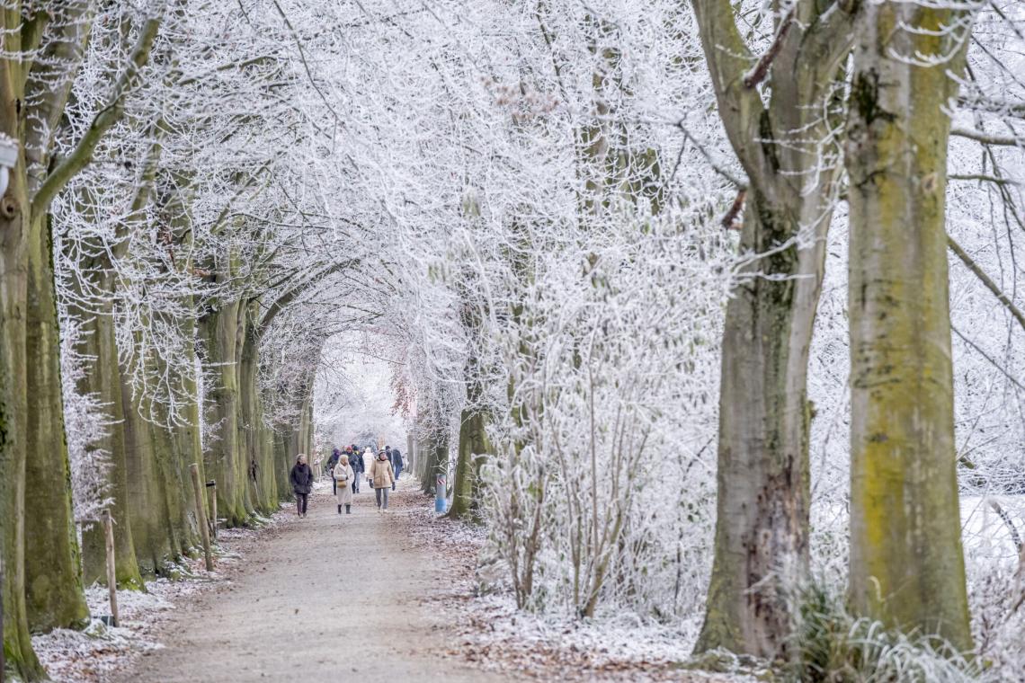 Winter in Leuven, da’s pure zelfverwennerij! | Visit Leuven