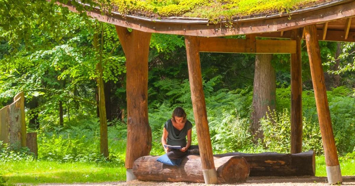 Heverleebos & Meerdaalwoud | Visit Leuven